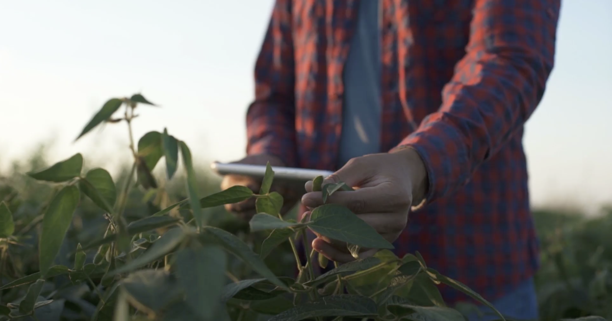 Putting Your Money Where It Counts: How Agronomy 365… | BW Fusion